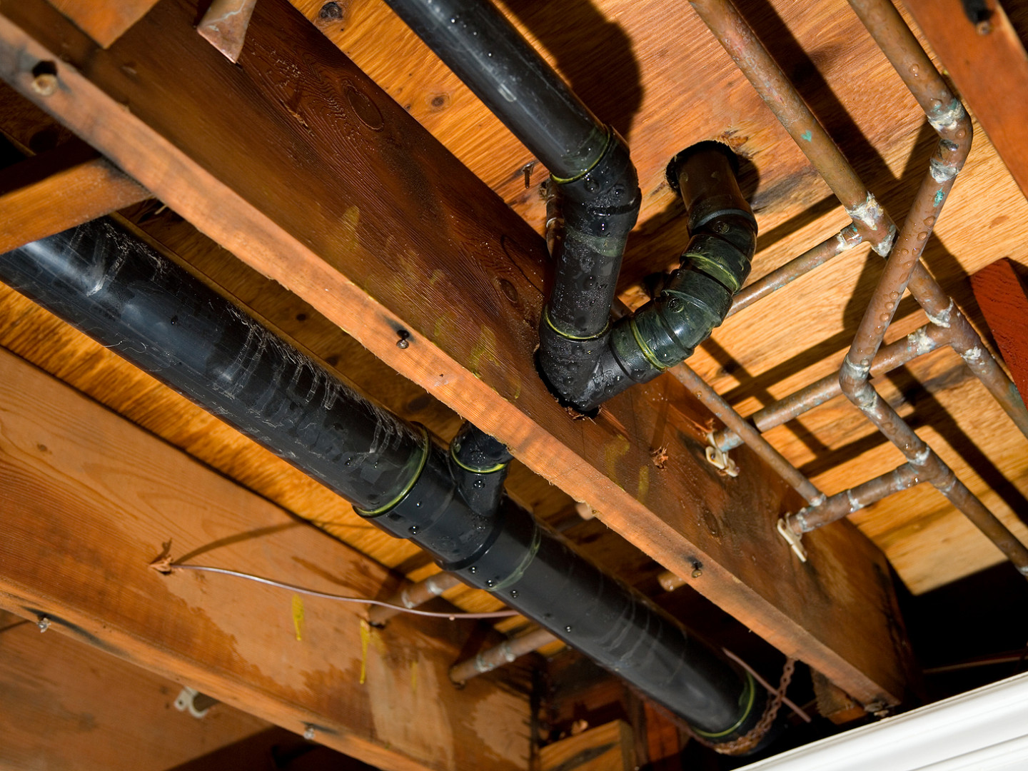 Water Damage Assessment, Water Loss Control | Mesa & Phoenix, AZ ...