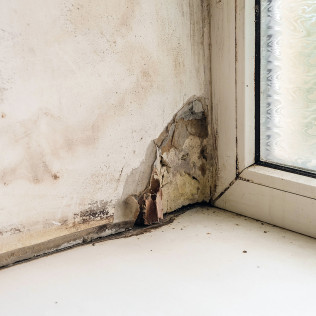 Adaptive Environmental Consulting | Mesa & Phoenix, AZ | Mold, Asbestos ...